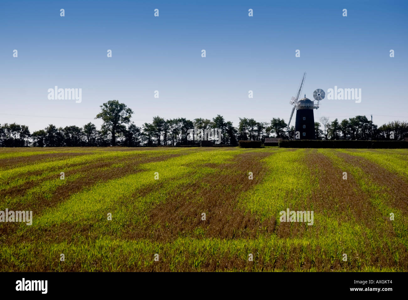 Pakenham suffolk england hi-res stock photography and images - Alamy