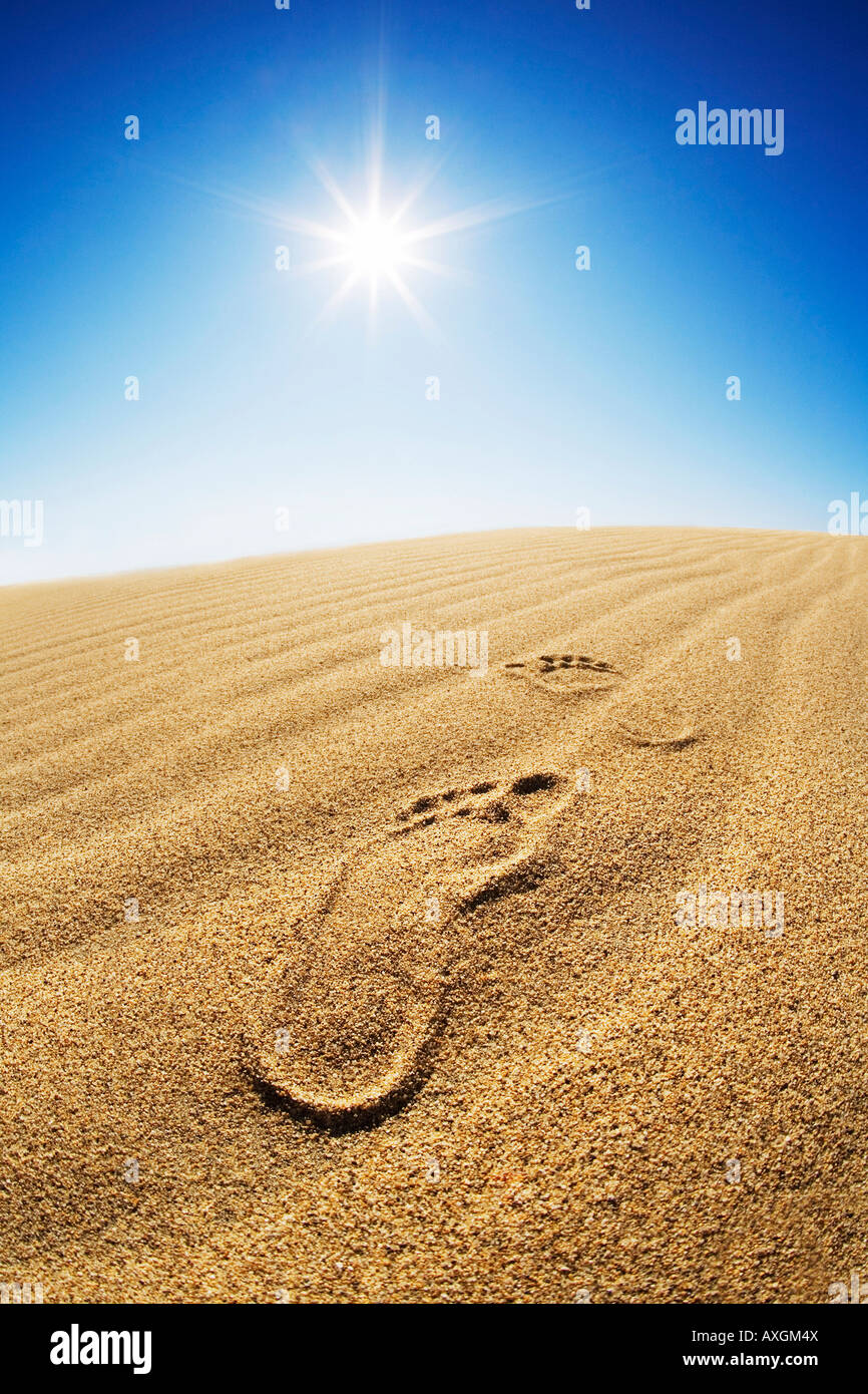 Footprints in desert leading hi-res stock photography and images - Alamy