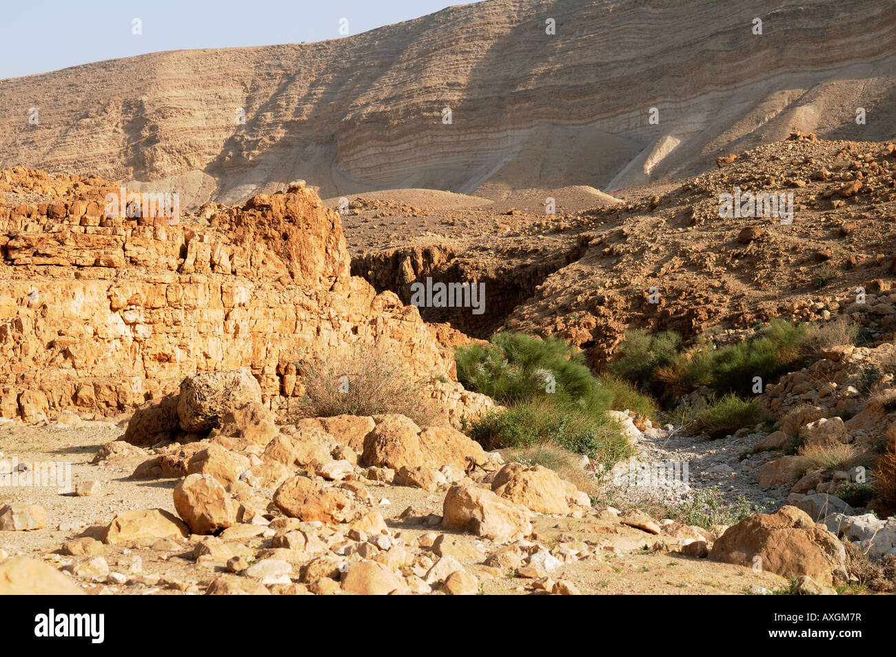 Negev Desert wadi Stock Photo - Alamy