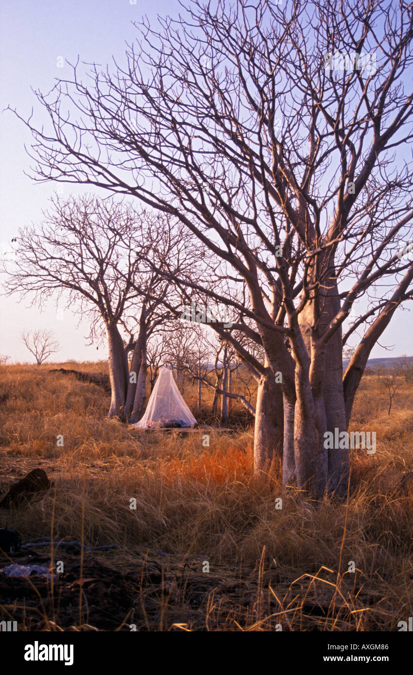 Camp scene, Western Australia Stock Photo - Alamy