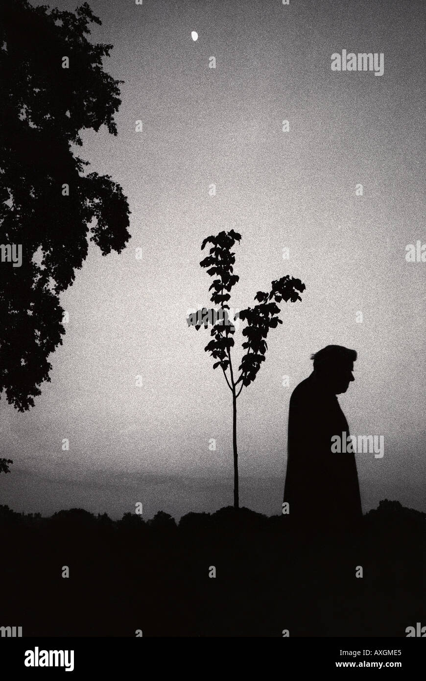 outdoor summer spring night evening dusk park tree trees man silhouette ...