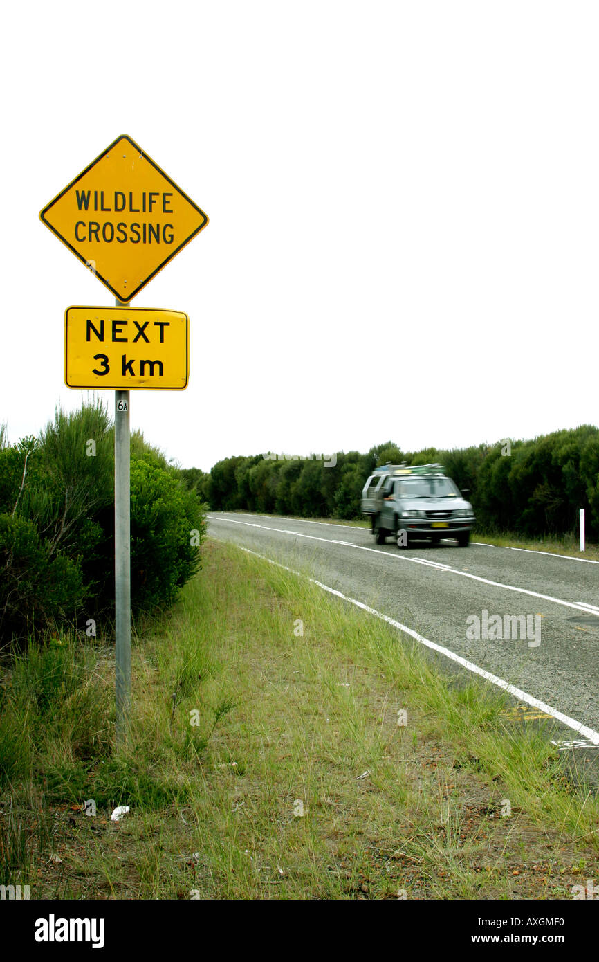 A road sign warning of wildlife in the Australian outback Stock Photo ...