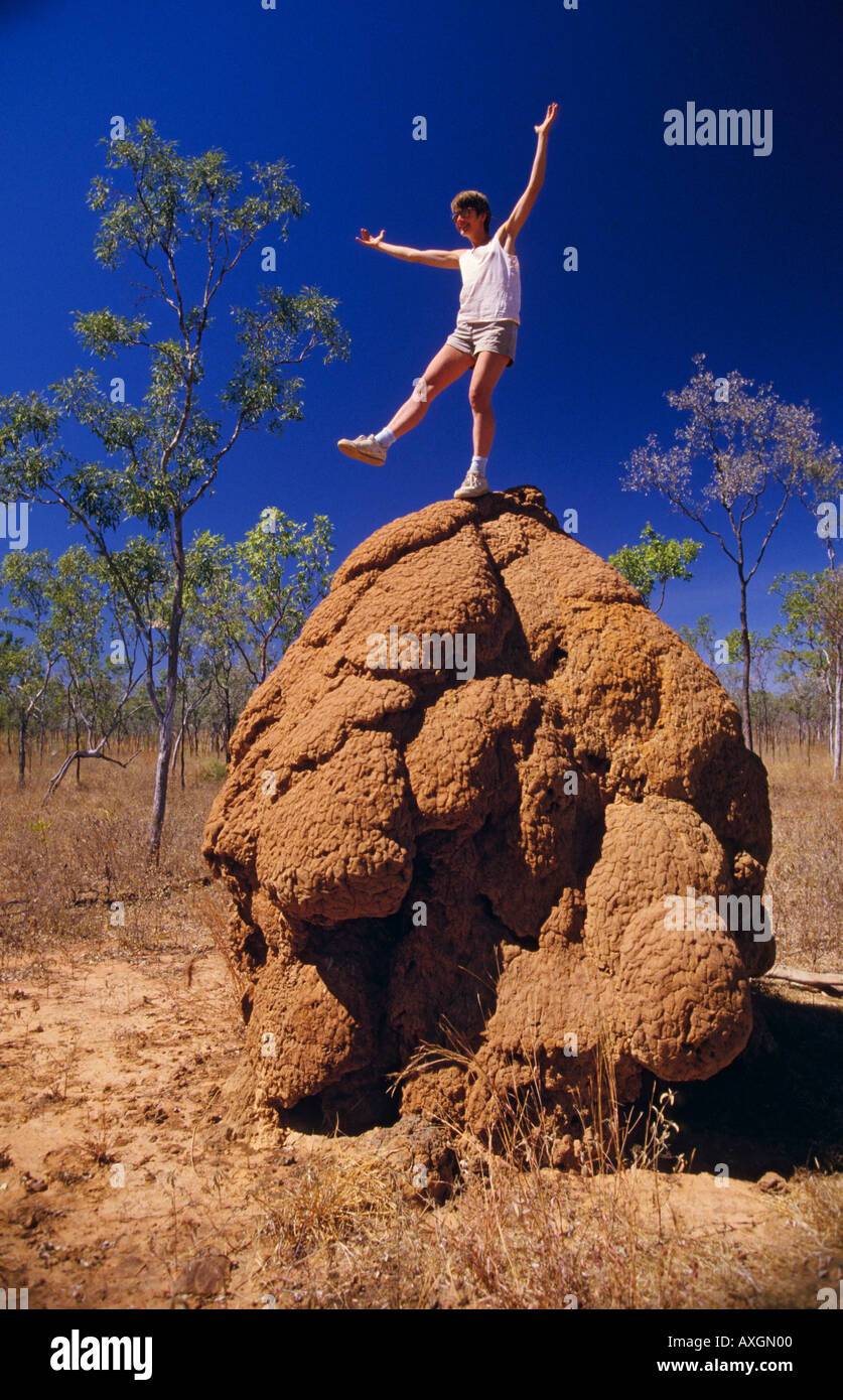 Termite tower hi-res stock photography and images - Alamy