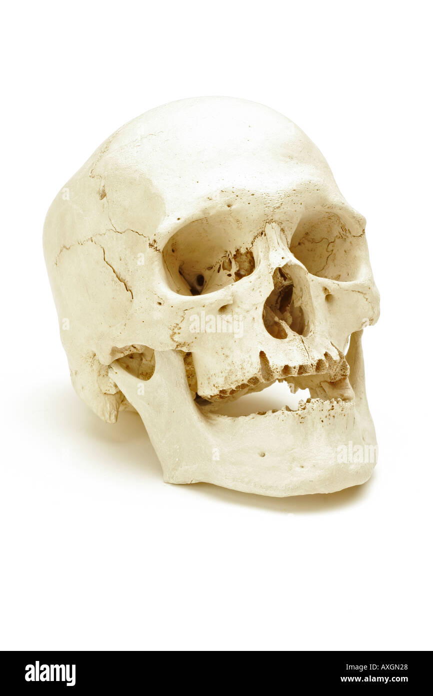 Landscape background man on Cut Out Stock Images & Pictures - Alamy