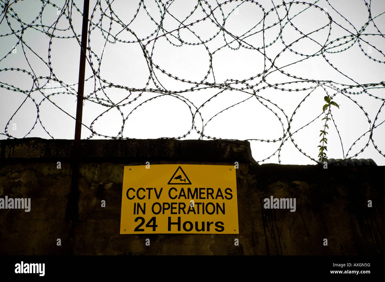 Wall with razor wire and CCTV notice Stock Photo - Alamy
