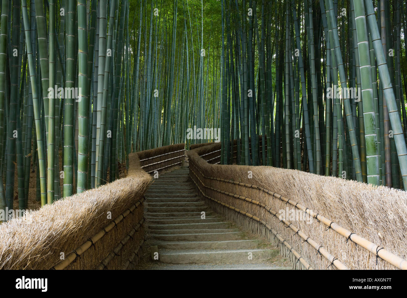 Bamboo Path, Adashino Nembutsuji Temple, Kyoto, Japan Stock Photo - Alamy