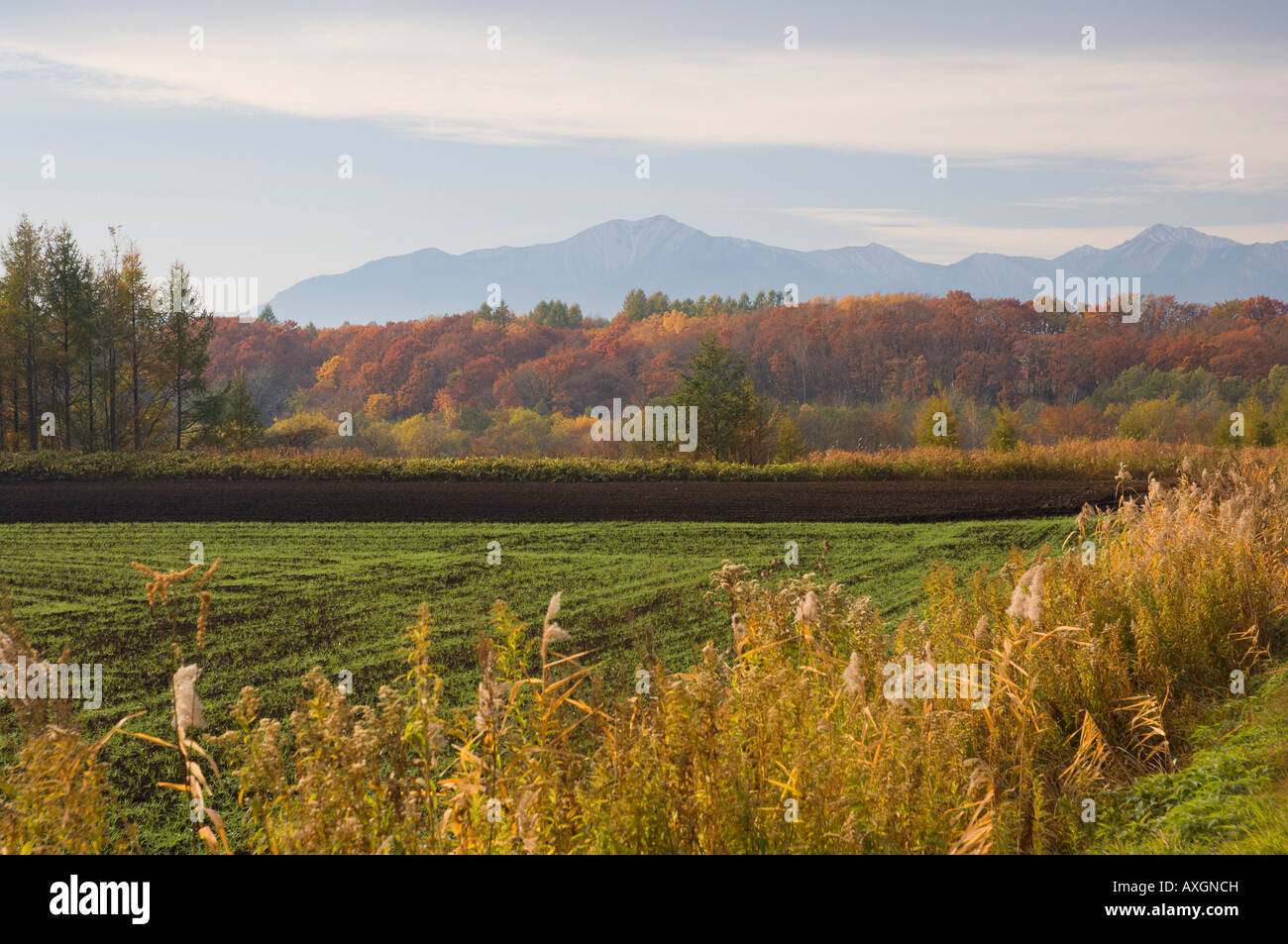 Farmland and Hidaka Mountains, Hokkaido, Japan Stock Photo - Alamy