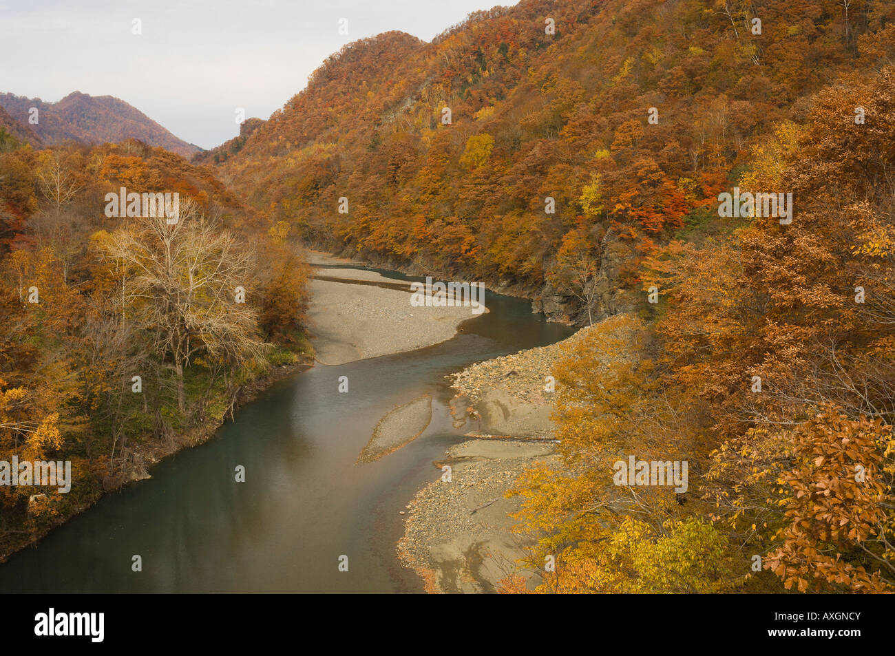 Nukabira River, Hidaka Mountains, Hokkaido, Japan Stock Photo - Alamy