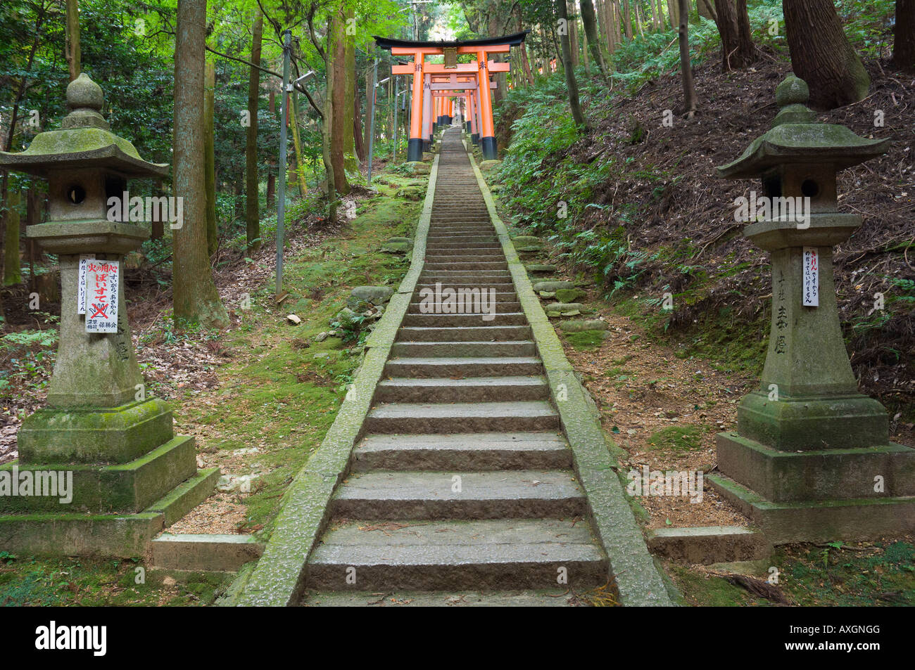 Staircase and Torii Gates, Fushimi Inari Taisha Shrine, Kyoto, Kansai ...