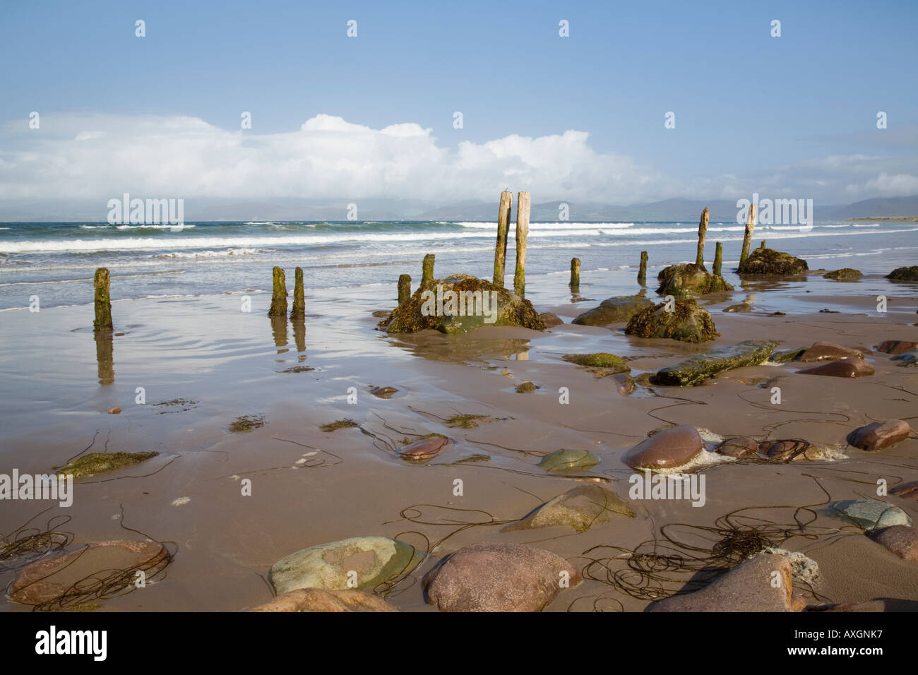 Rossbeigh strand hi-res stock photography and images - Alamy