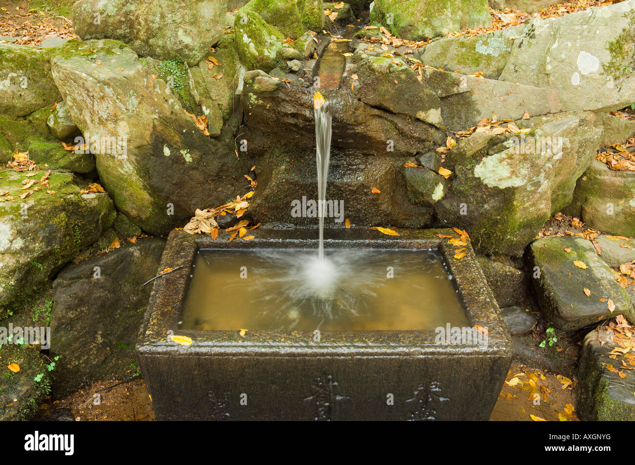 Well at the Kasuga-Taisha Shrine, Nara, Japan Stock Photo - Alamy