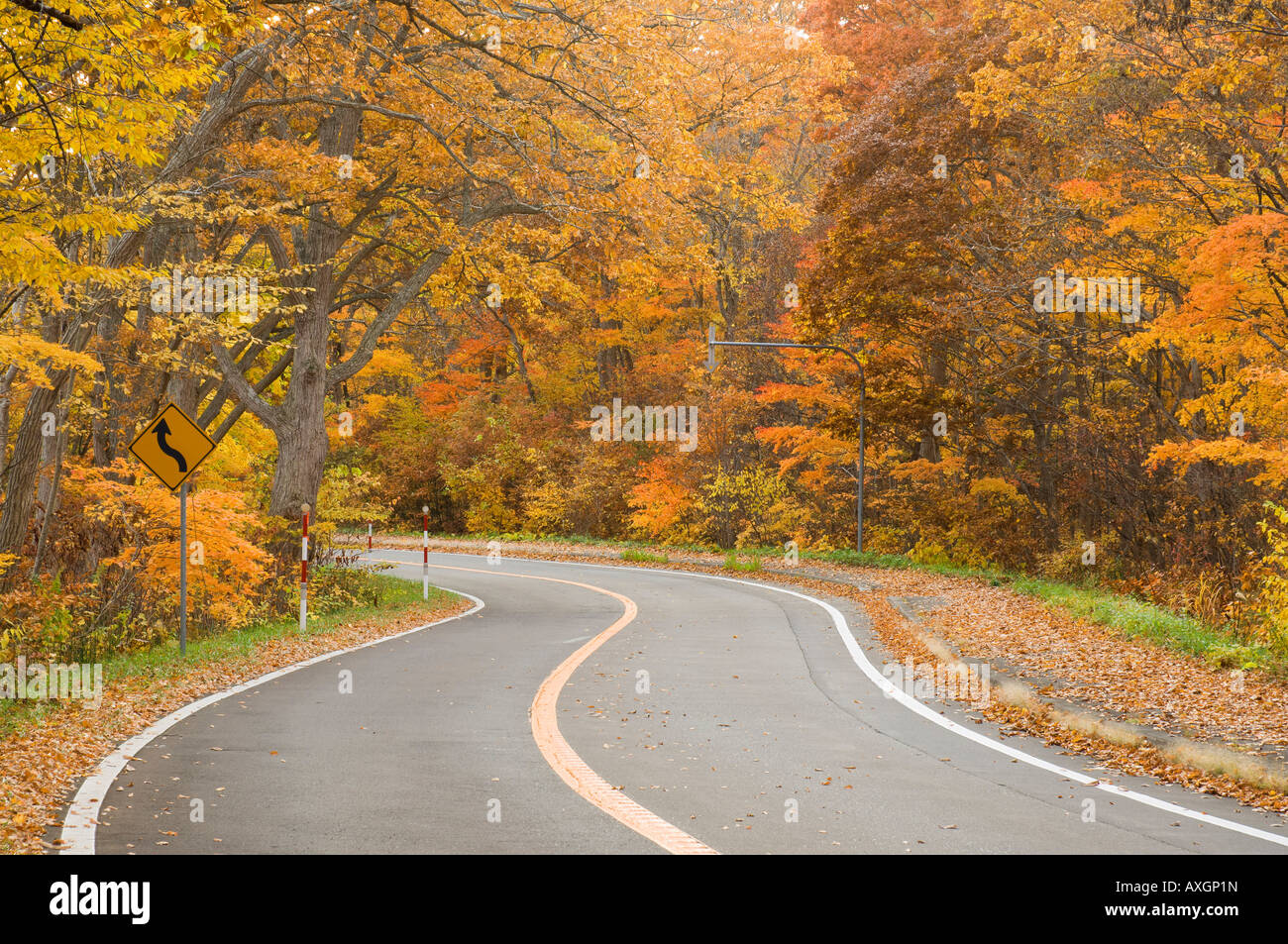 Onuma quasi national park hi-res stock photography and images - Alamy