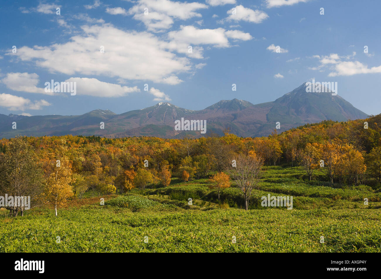 Forest and Mountains, Mount Rausu, Shiretoko National Park, Hokkaido ...