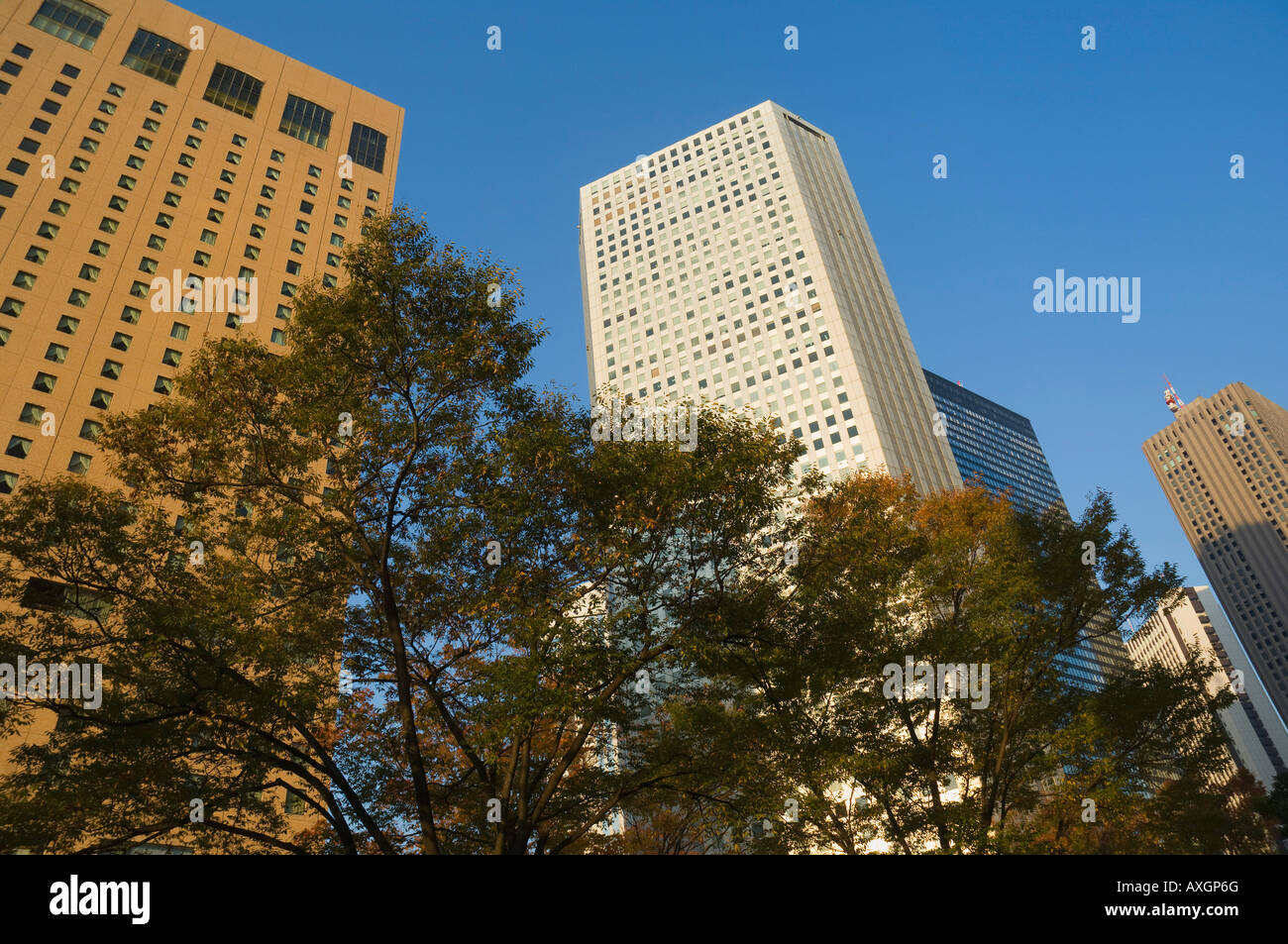 Buildings in Tokyo, Japan Stock Photo - Alamy