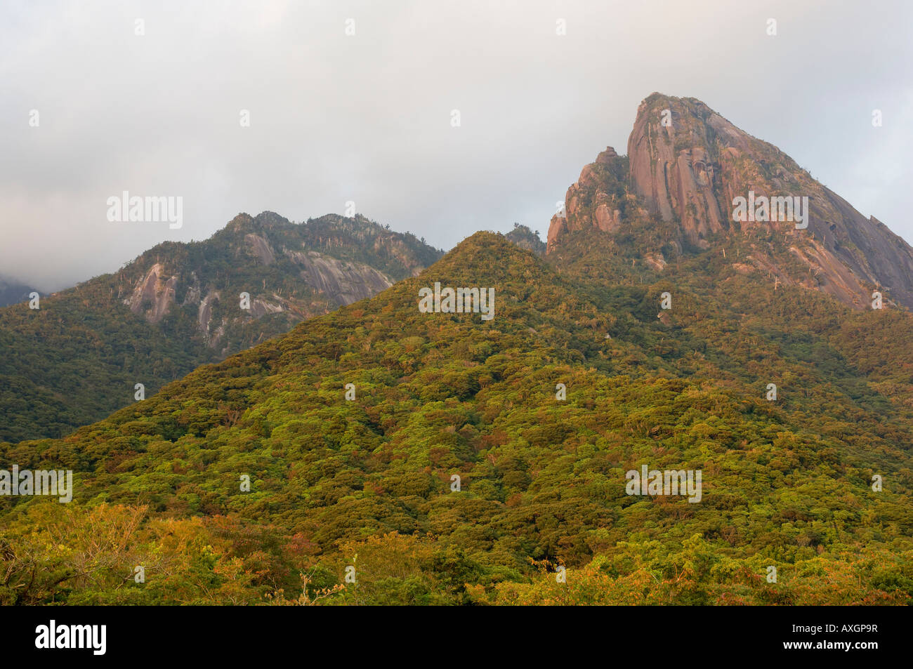 Okudake Mountains, Yakushima, Kyushu, Japan Stock Photo - Alamy