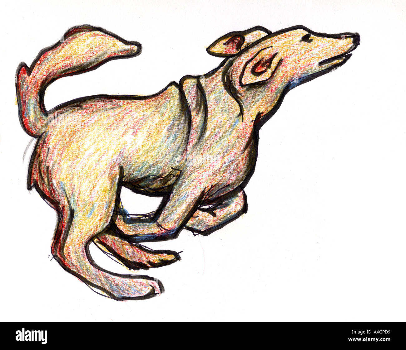 Labrador puppy running Cut Out Stock Images & Pictures - Alamy