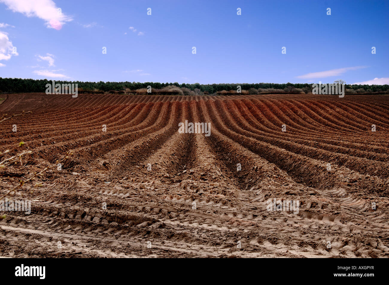 Plough soil texture hi-res stock photography and images - Alamy