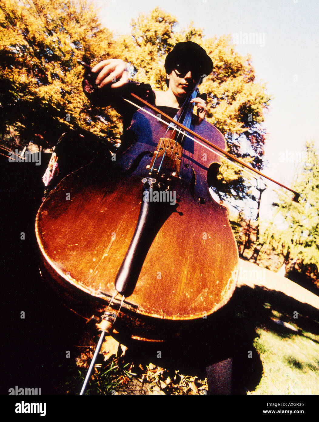 Contrabass bow hi-res stock photography and images - Alamy