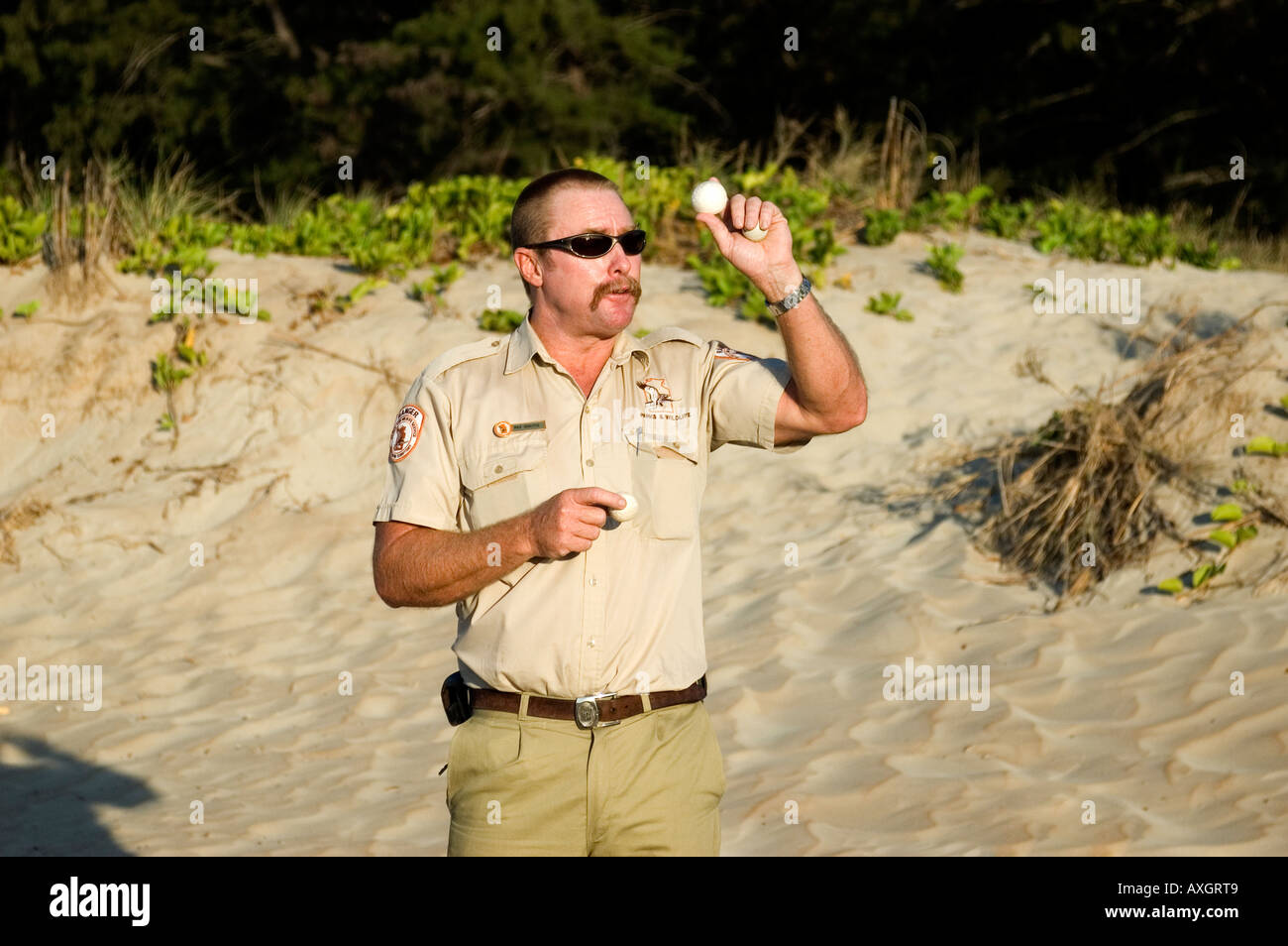 Darwin Park Ranger Stock Photo - Alamy