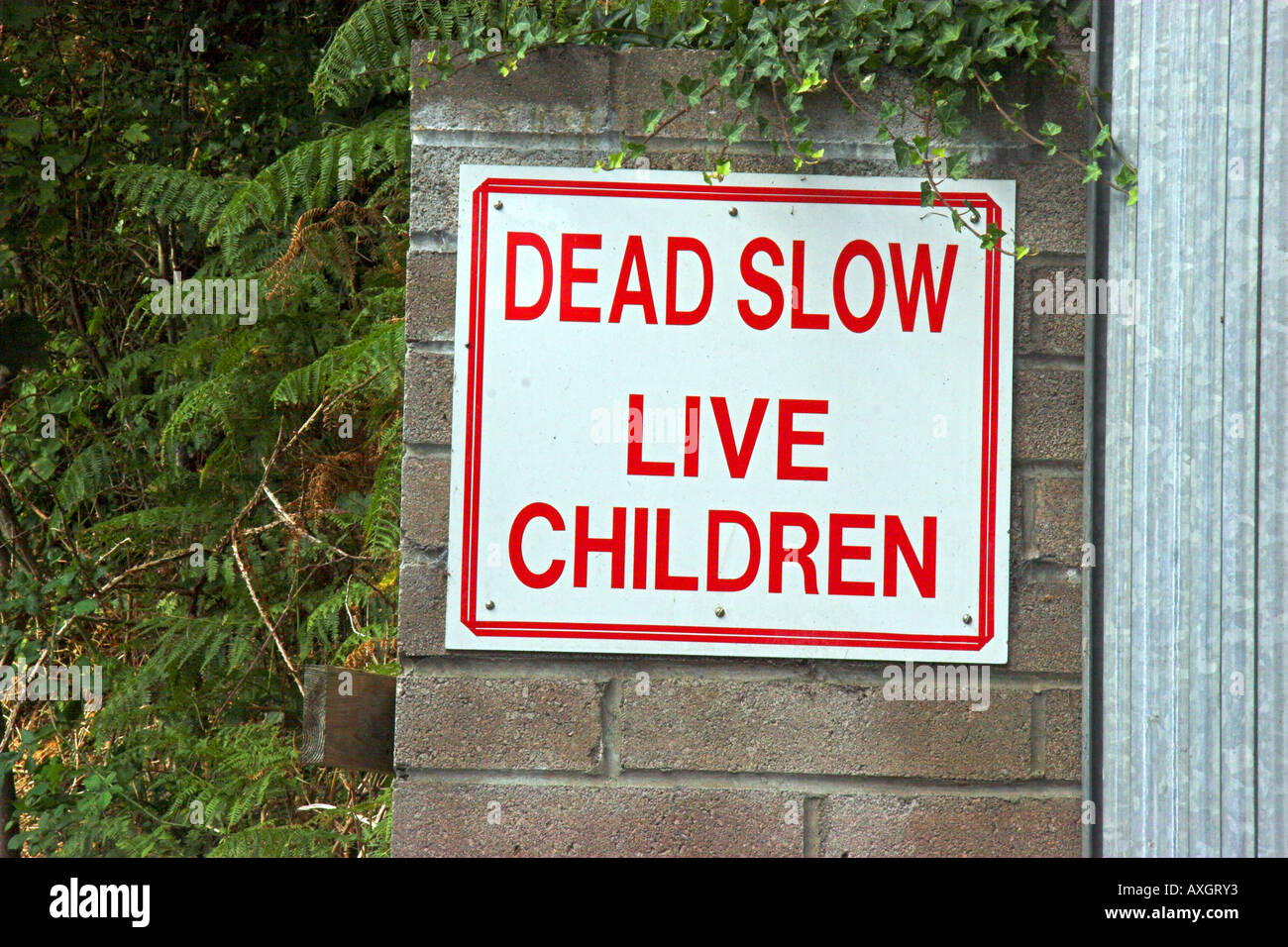 Dead Slow Live Children Warning Sign for Drivers Road Sign Transport ... Dead Slow Live Children Warning Sign for Drivers Road Sign Transport ...