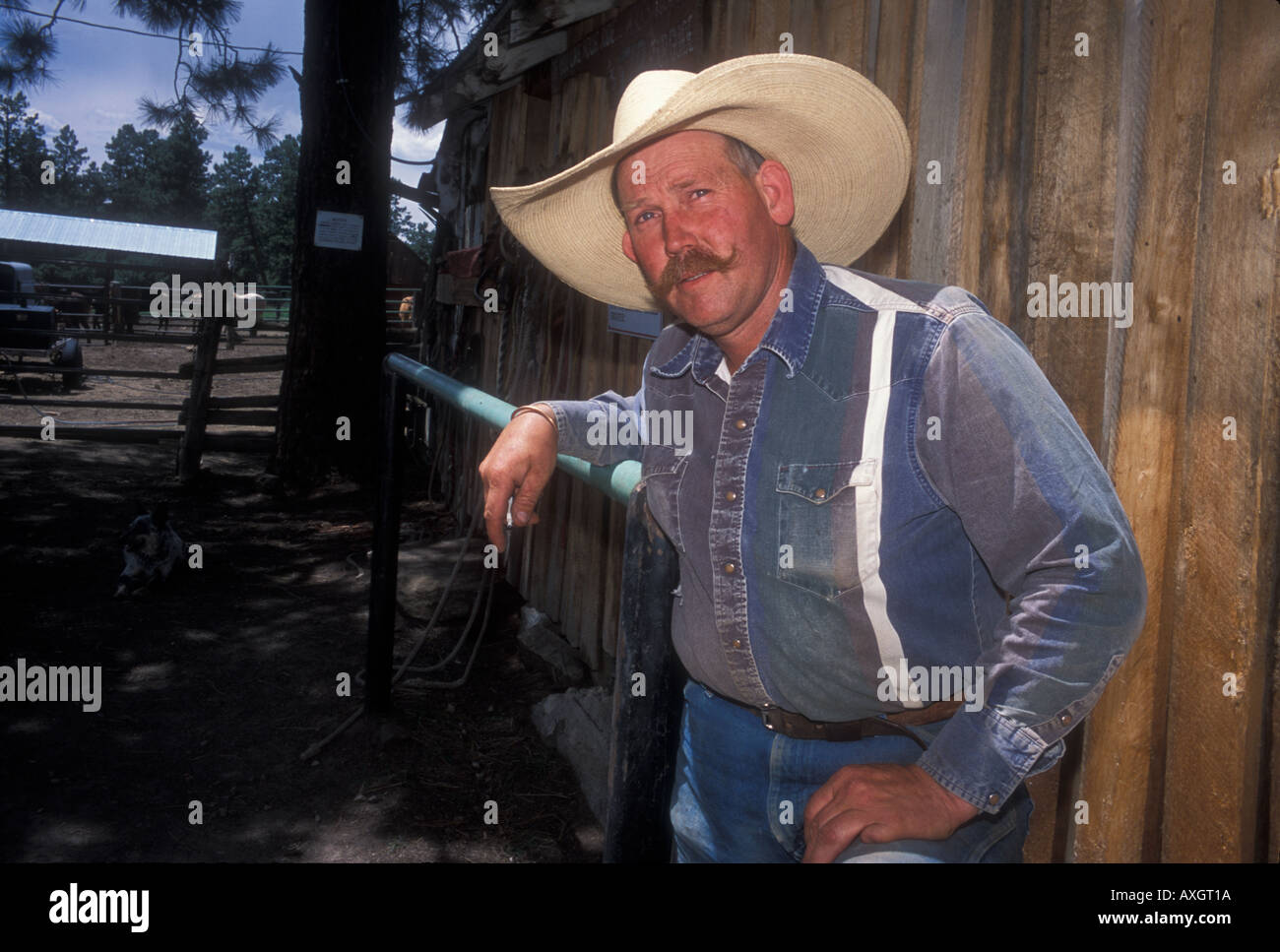 a cowboy out west Stock Photo - Alamy
