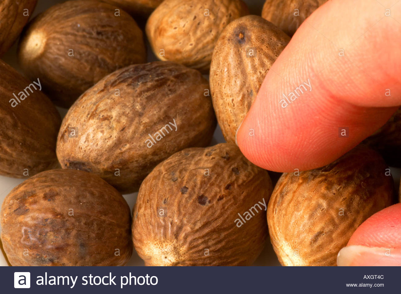 Picking nutmeg hi-res stock photography and images - Alamy