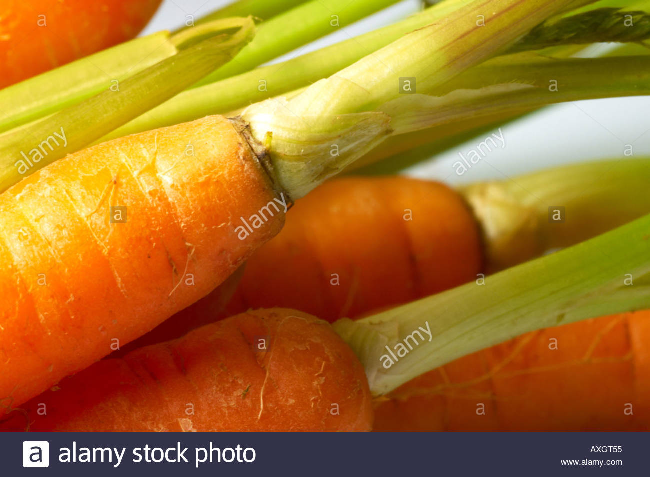 A bunch of carrots closeup Stock Photo - Alamy