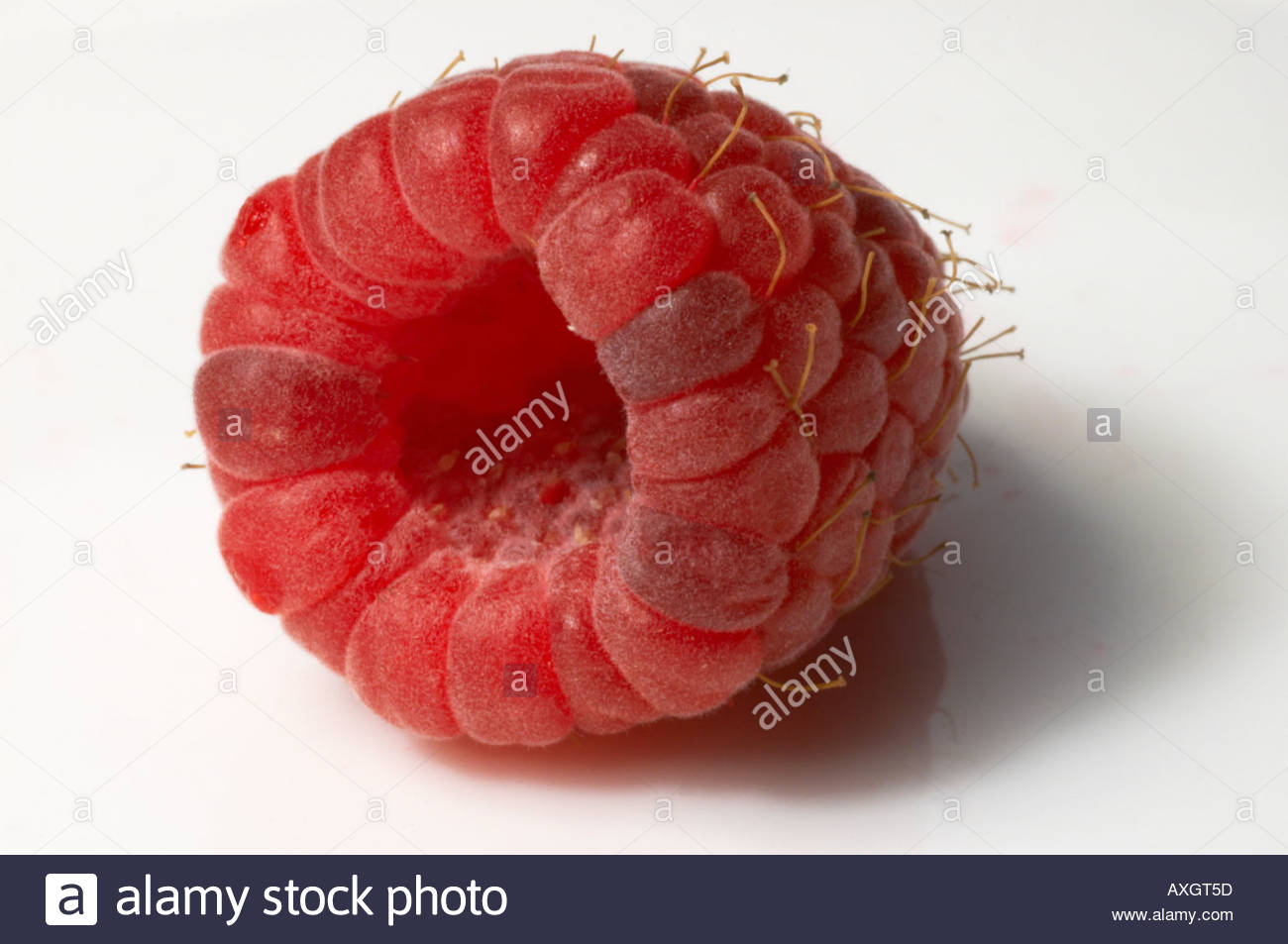 A single raspberry Stock Photo - Alamy