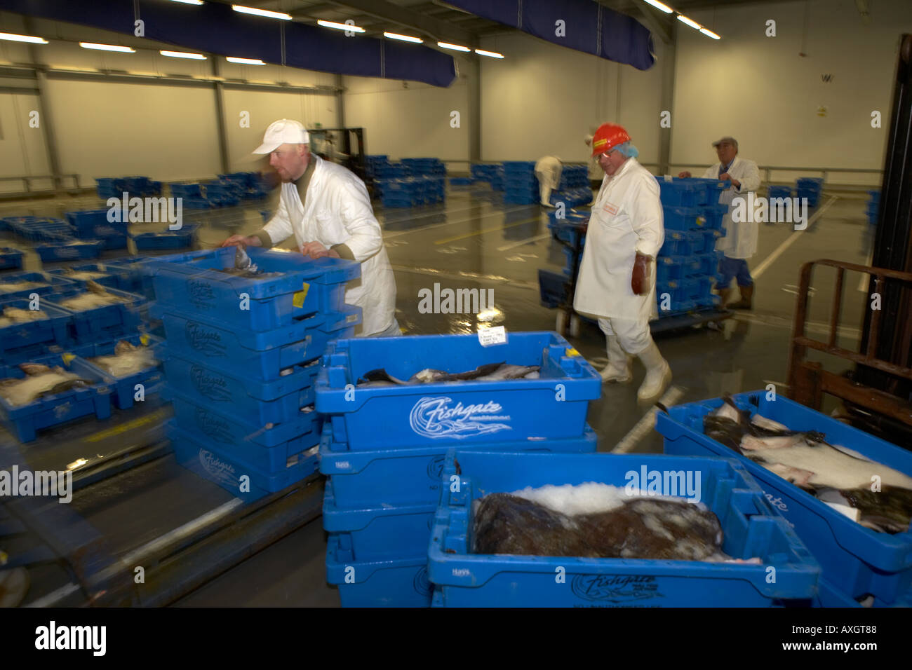 Staff handling fish crates at the new fishgate fish market Albert Dock ...