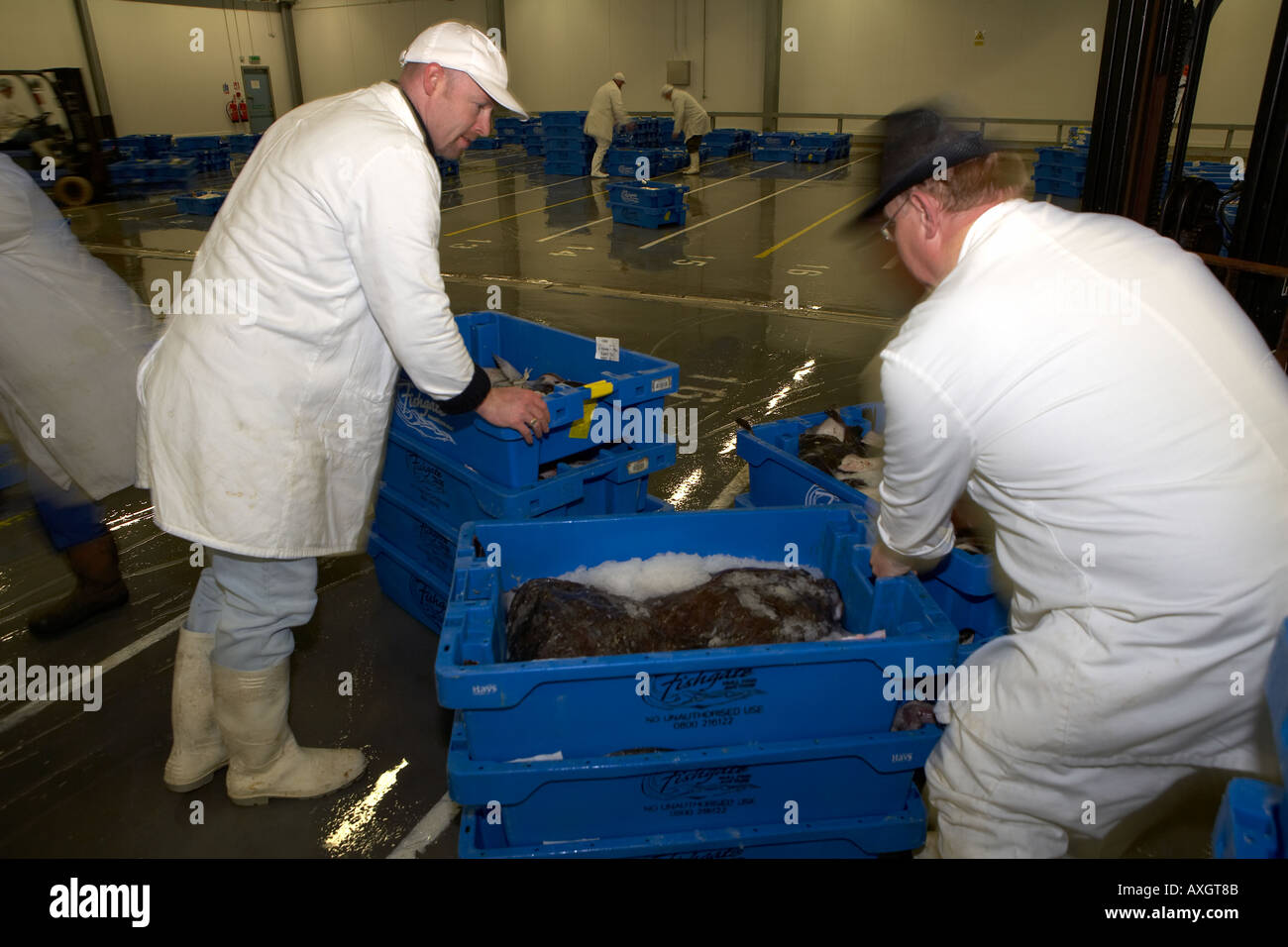 Market Hall Hull High Resolution Stock Photography and Images - Alamy