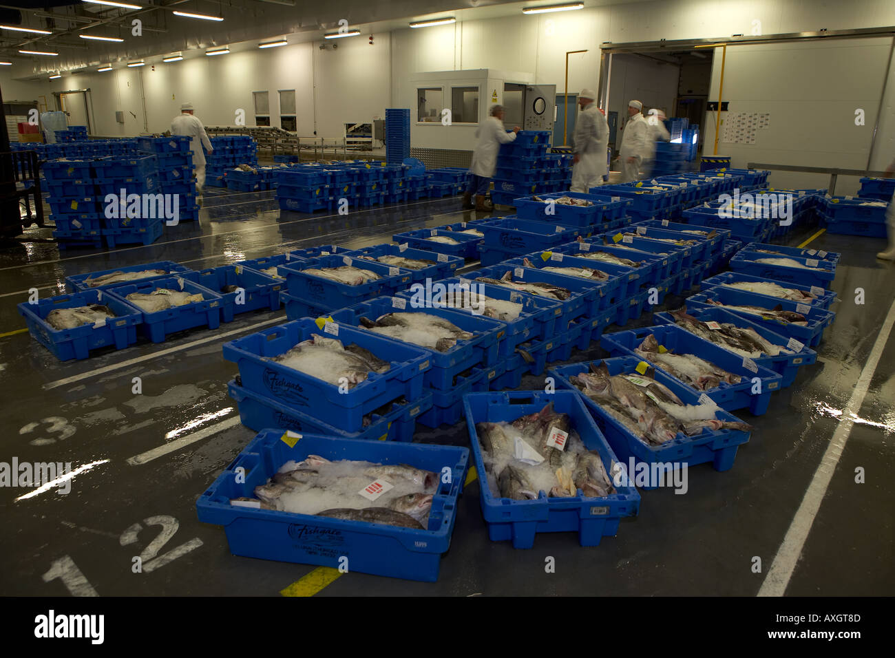 Fishgates hi-res stock photography and images - Alamy