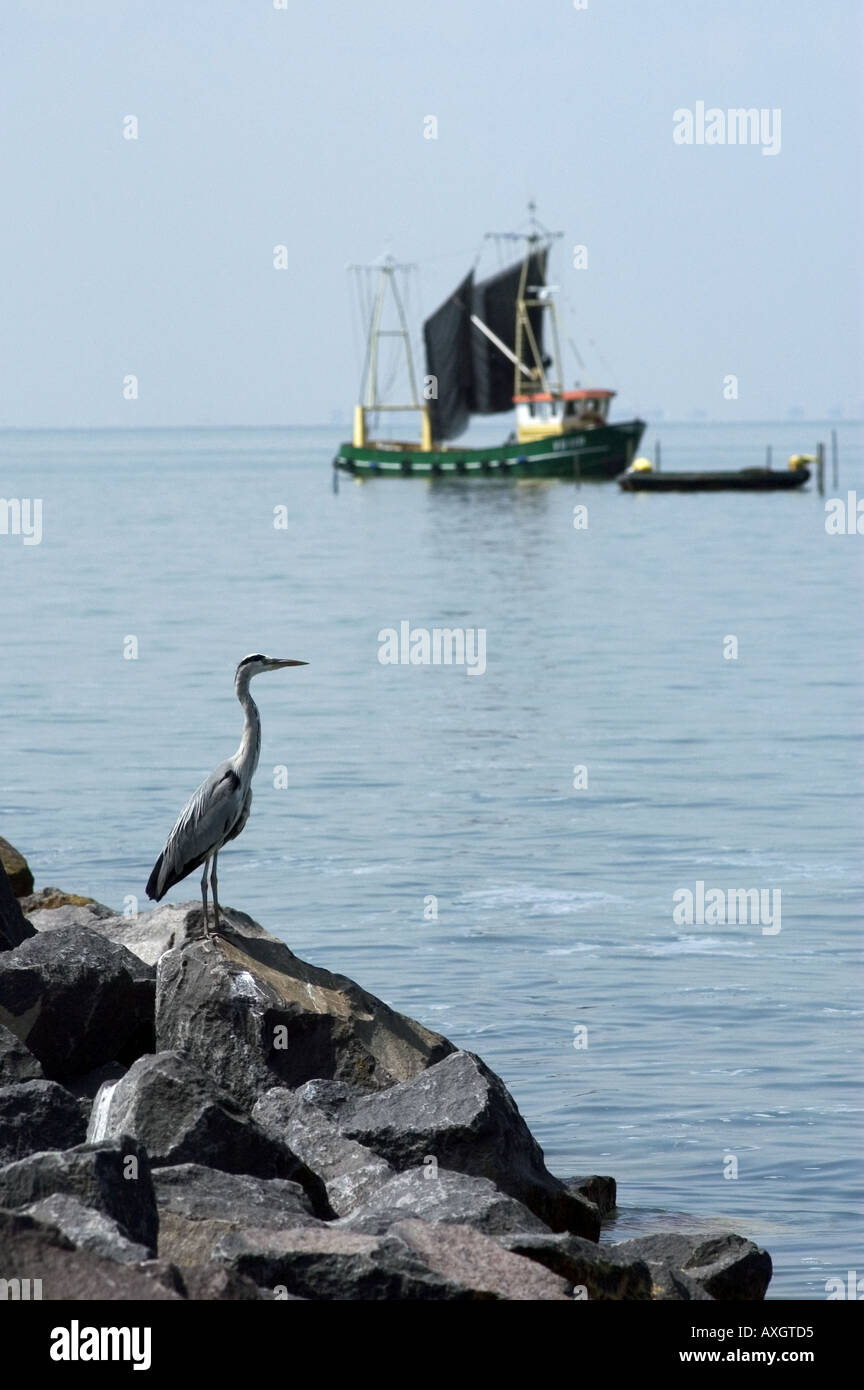 Trawler on rocks hi-res stock photography and images - Alamy