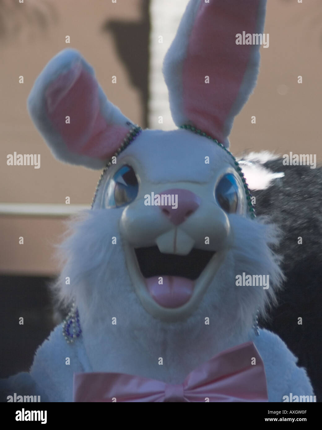 Rabbit costume hi-res stock photography and images - Alamy