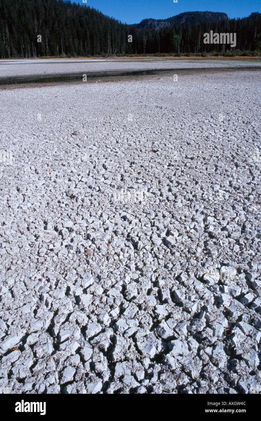cracked mud dry lake bed drought Lost Lake Santiam Pass Willamette ...