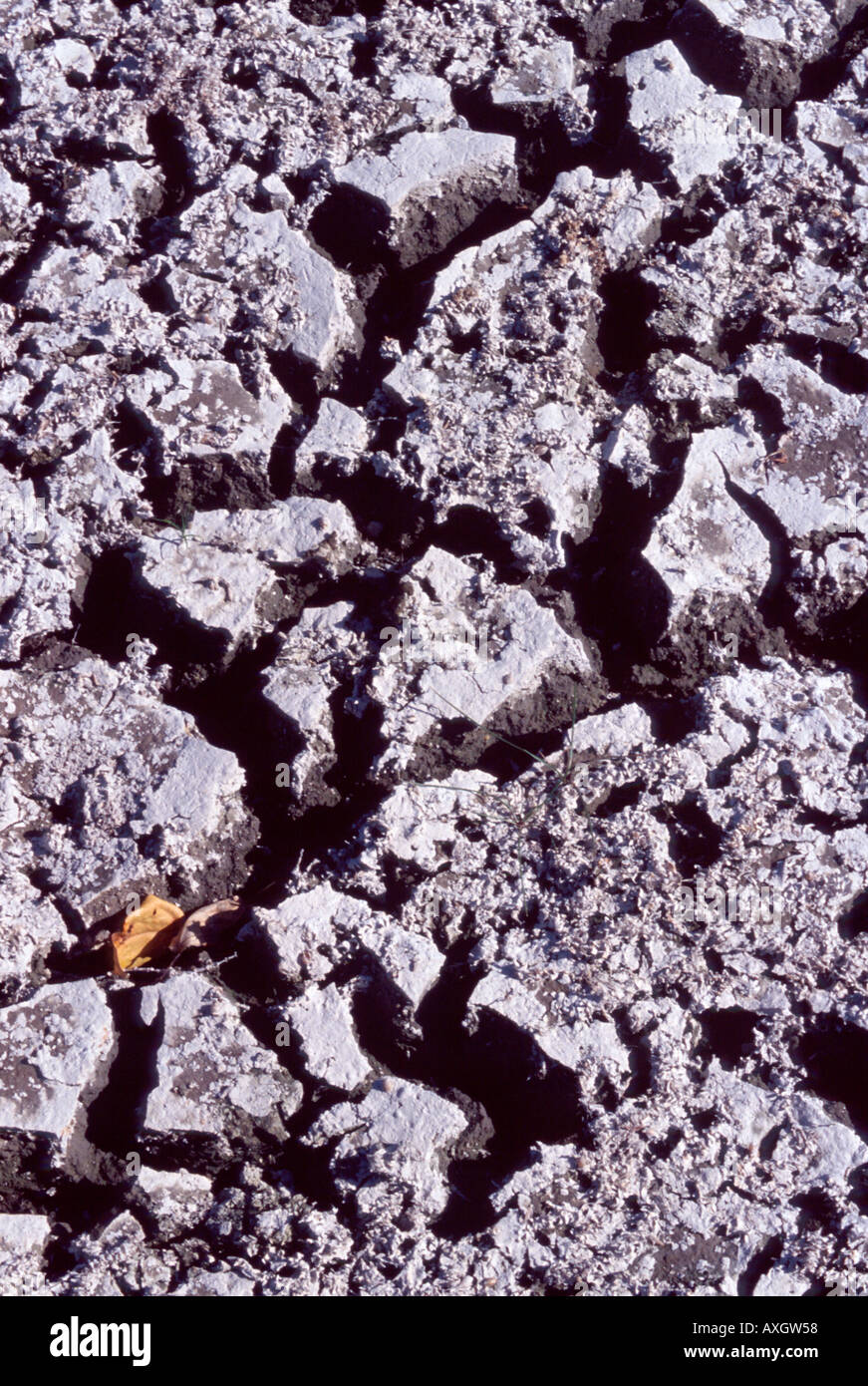 texture background cracked mud dry lake bed drought Lost Lake Santiam ...