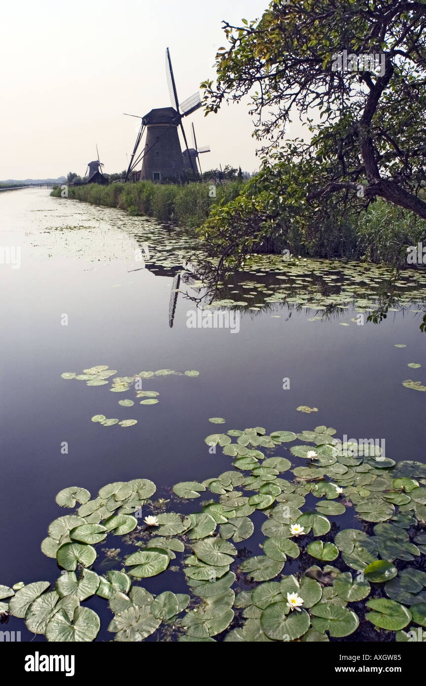 Historic dutch canalside architecture hi-res stock photography and ...
