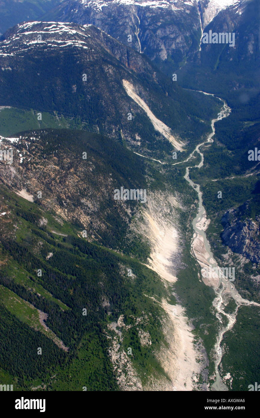 Aerial view of a river in a valley surrounded by forest in British ...