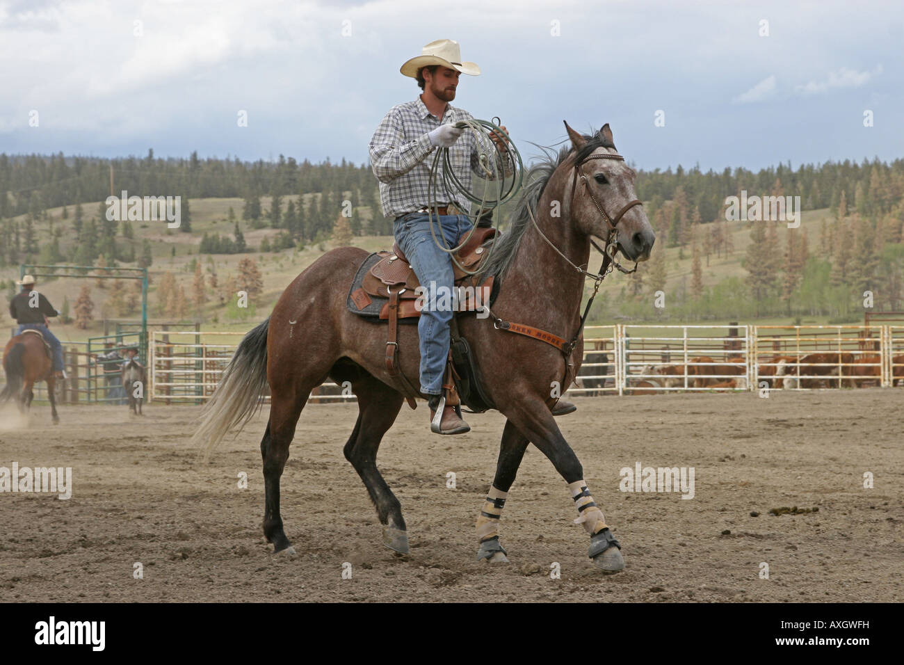 Cowboy at a rodeo Stock Photo - Alamy