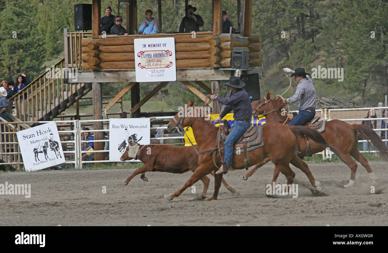 Cowboys galloping after a calf in the calf roping at a rodeo Stock ...