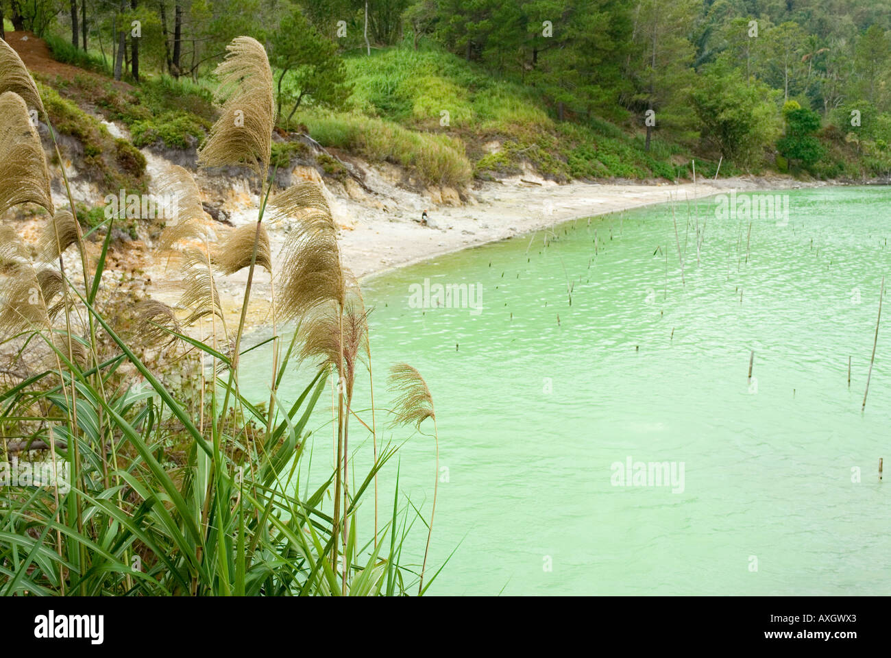 Volcanic sulphorous Lake Linow Minahasa Highlands Sulawesi Utara North ...