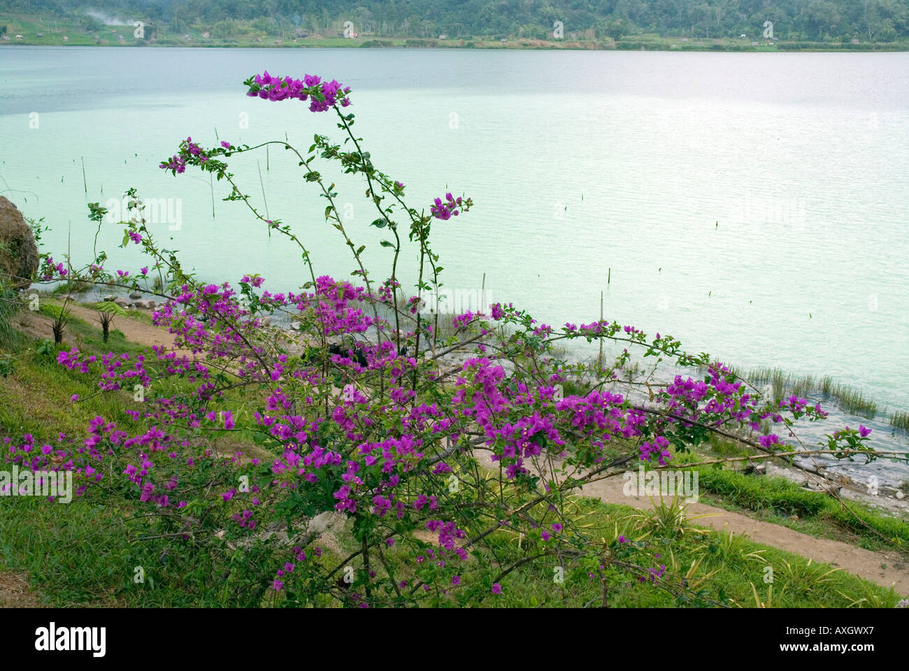 Lake linow hi-res stock photography and images - Alamy