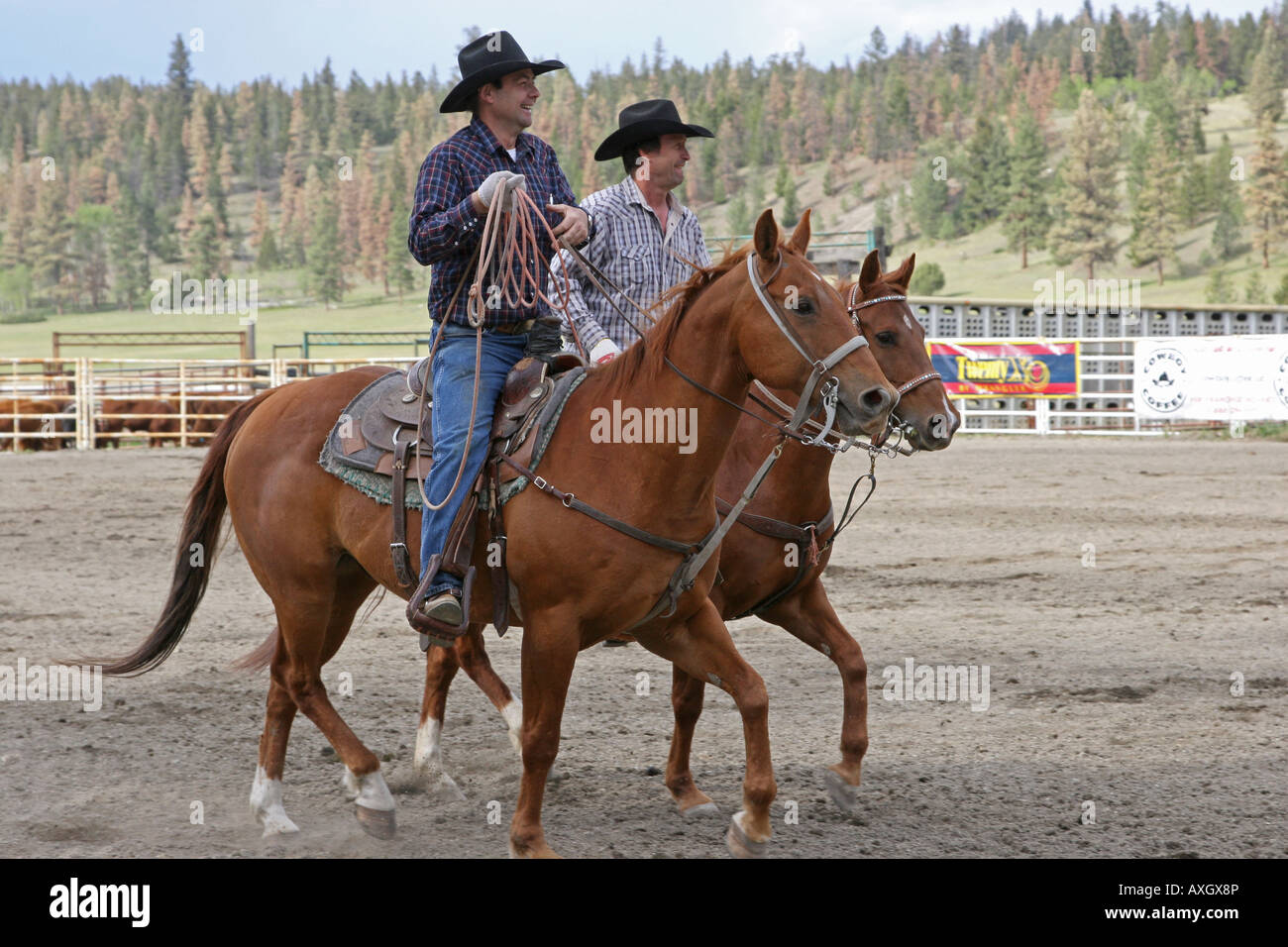 Cowboys at a rodeo Stock Photo - Alamy