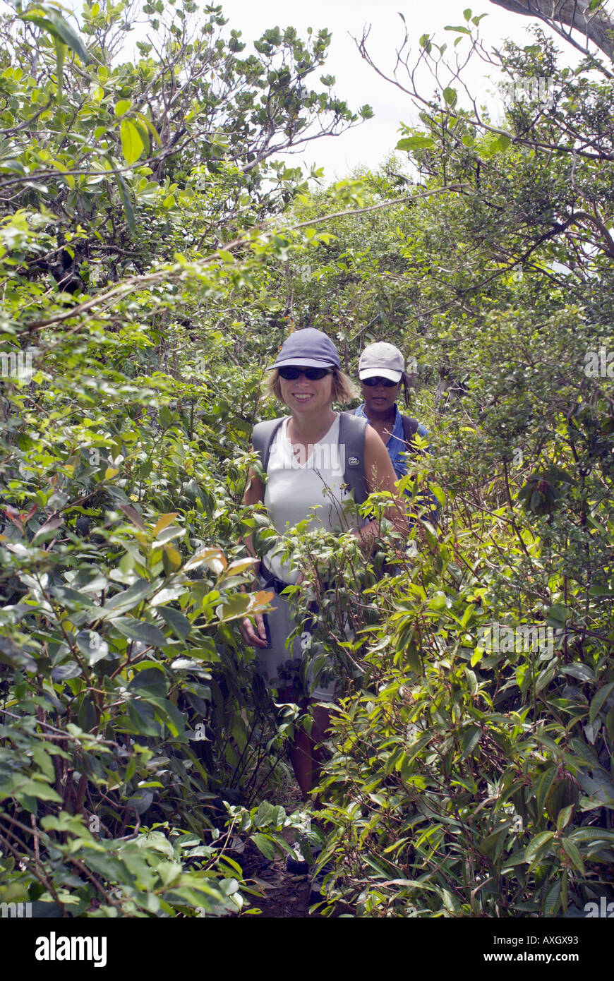 two women clearing a path Stock Photo - Alamy