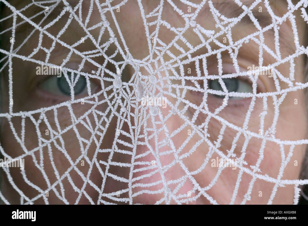 Spiders face hi-res stock photography and images - Alamy