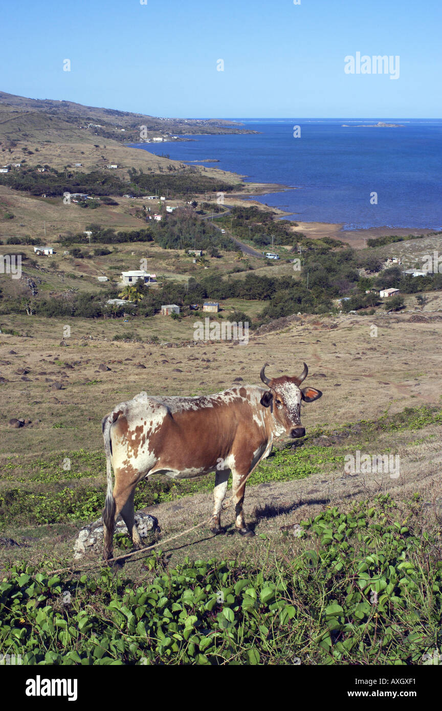 Rodrigues island hi-res stock photography and images - Alamy