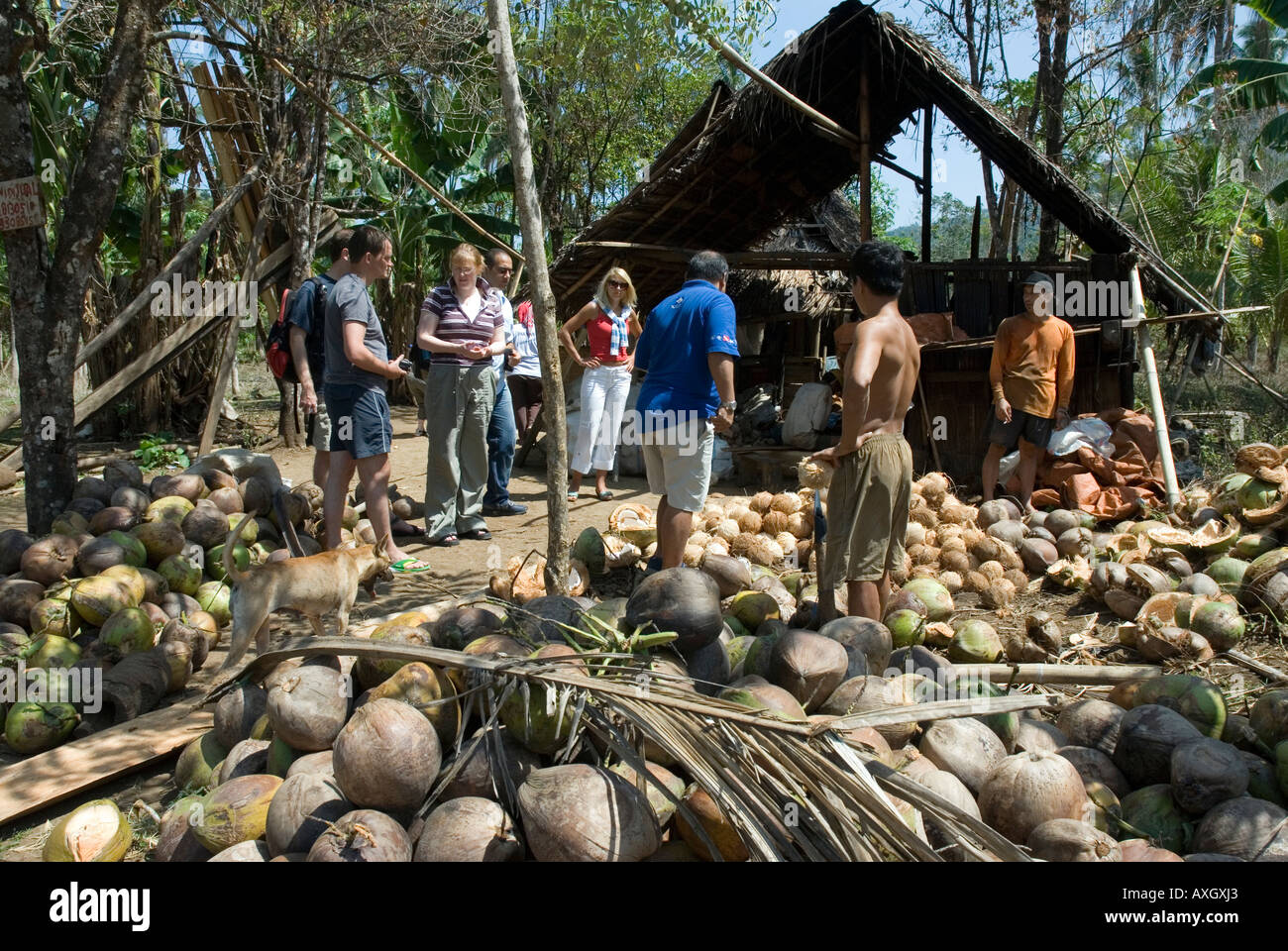Coconut copra production indonesia hi-res stock photography and images ...