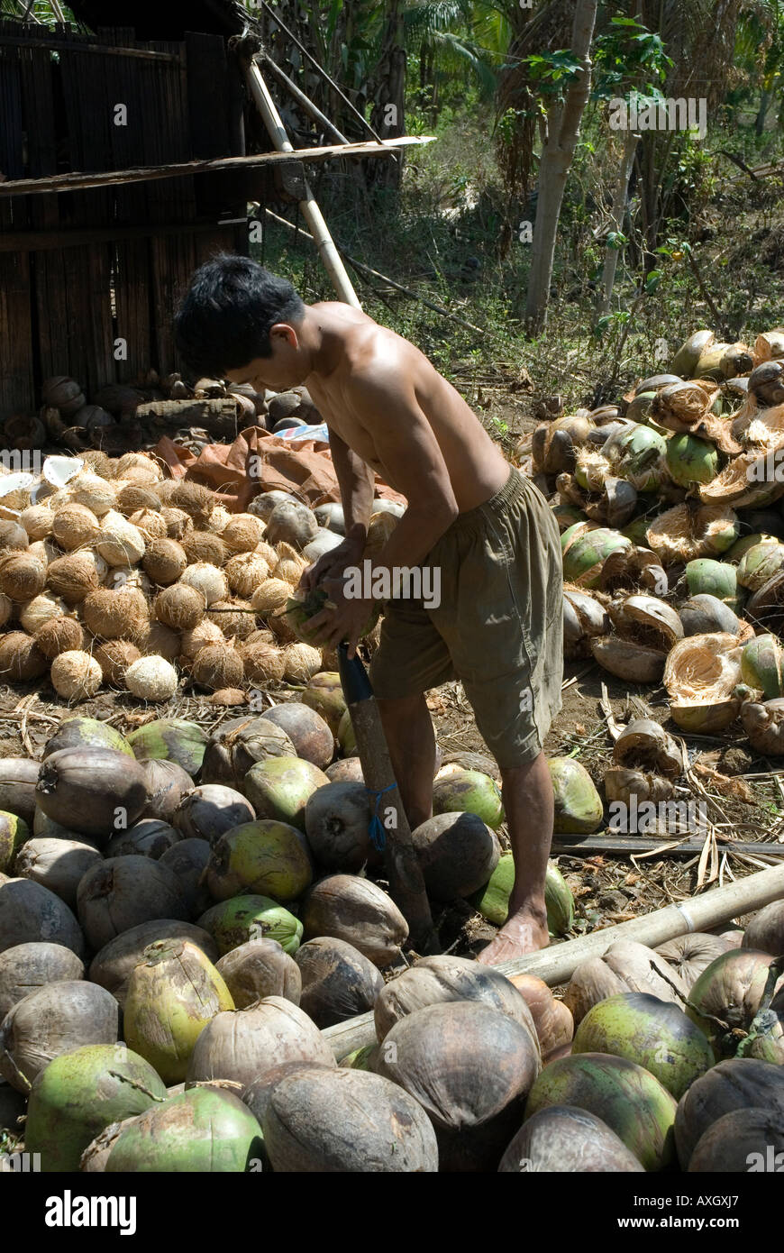 Coconut copra production indonesia hi-res stock photography and images ...