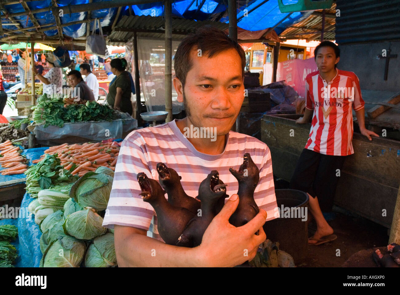 Bats on sale at traditional market at Tomohon Minahasa Highlands ...
