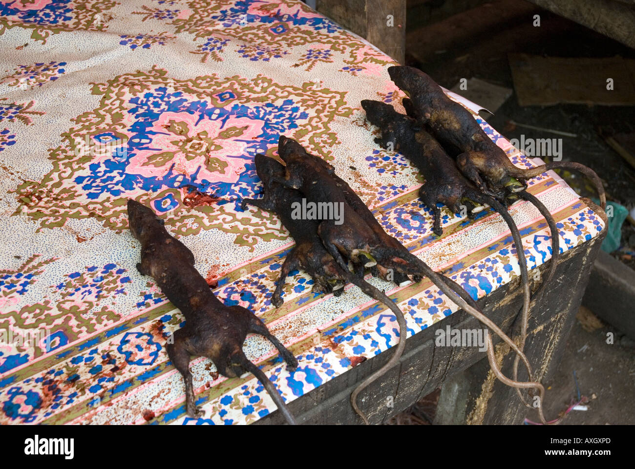 Smoked rats stuffed with lmongrass traditional market Tomohon Minahasa ...