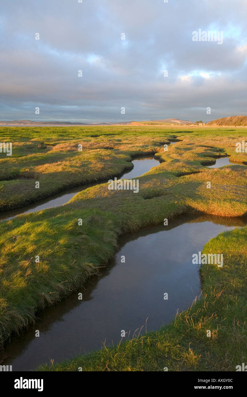 Hest bank hi-res stock photography and images - Alamy
